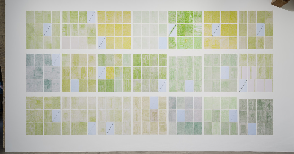 Plants and people | Réseau documents d'artistes